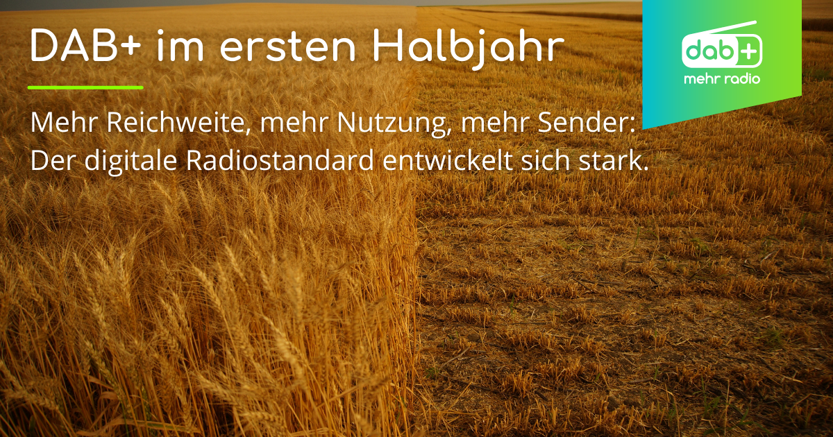 DAB+ im ersten Halbjahr 2024: „Digital Switchover“ im Norden und in der ...